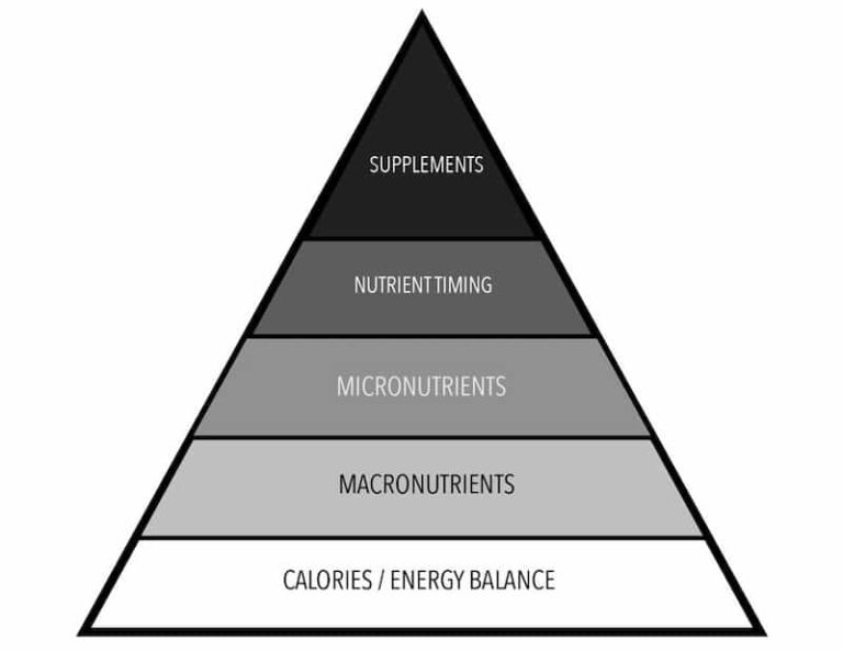 Nutrition basics for beginners explained - a 15 minute read